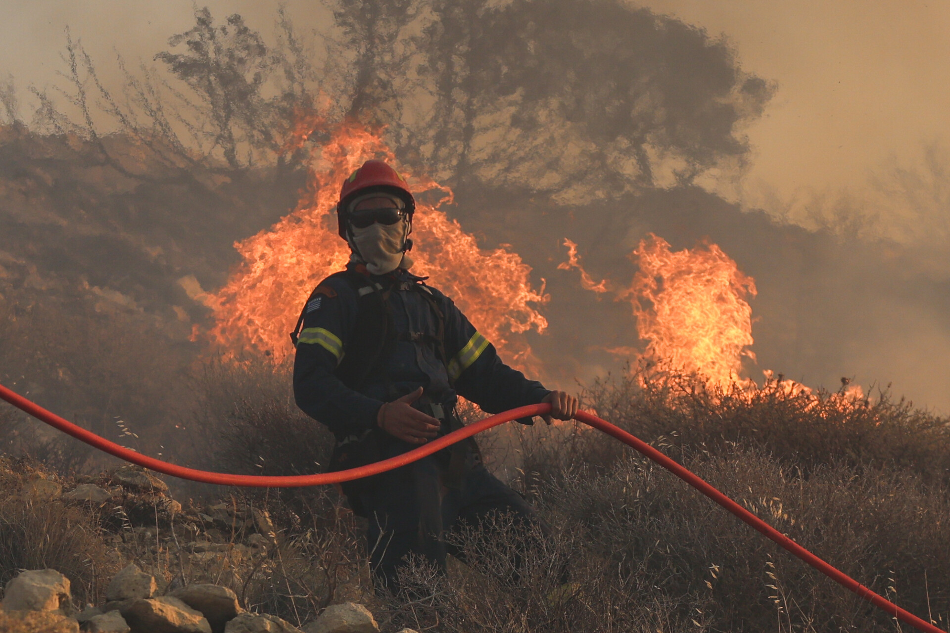 Φωτιά σε δασική έκταση στον Άγιο Στέφανο Λακωνίας - Προειδοποιητικό μήνυμα του 112 | LiFO